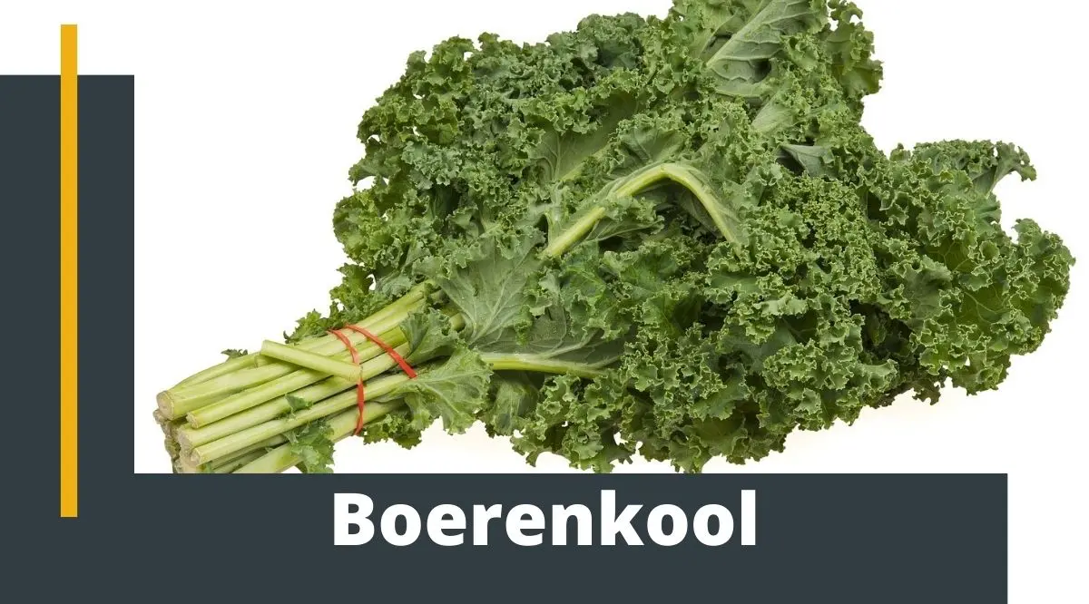 Boerenkool - Kinderen Live