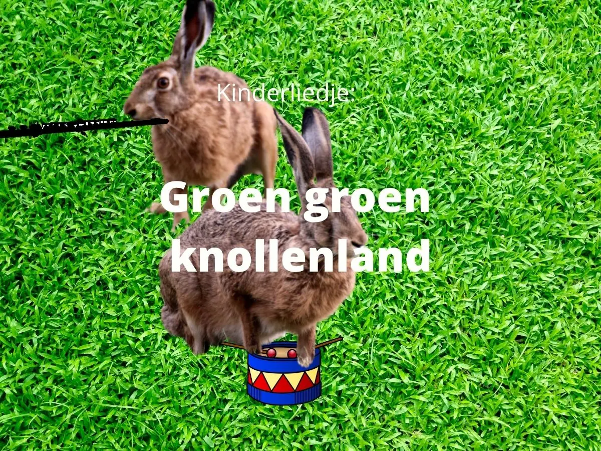 Groen, groen knollenland - kinderlied - Kinderen Live